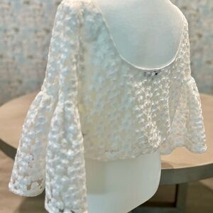 Milly | Tops | Nwot Milly Lydia Floral Embroidered Lace White Crop Top ...